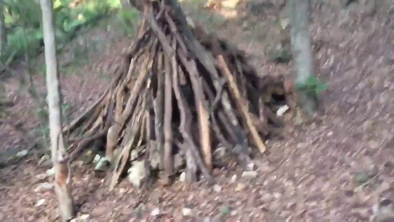 Tree teepee found in Mayfield Park - YouTube