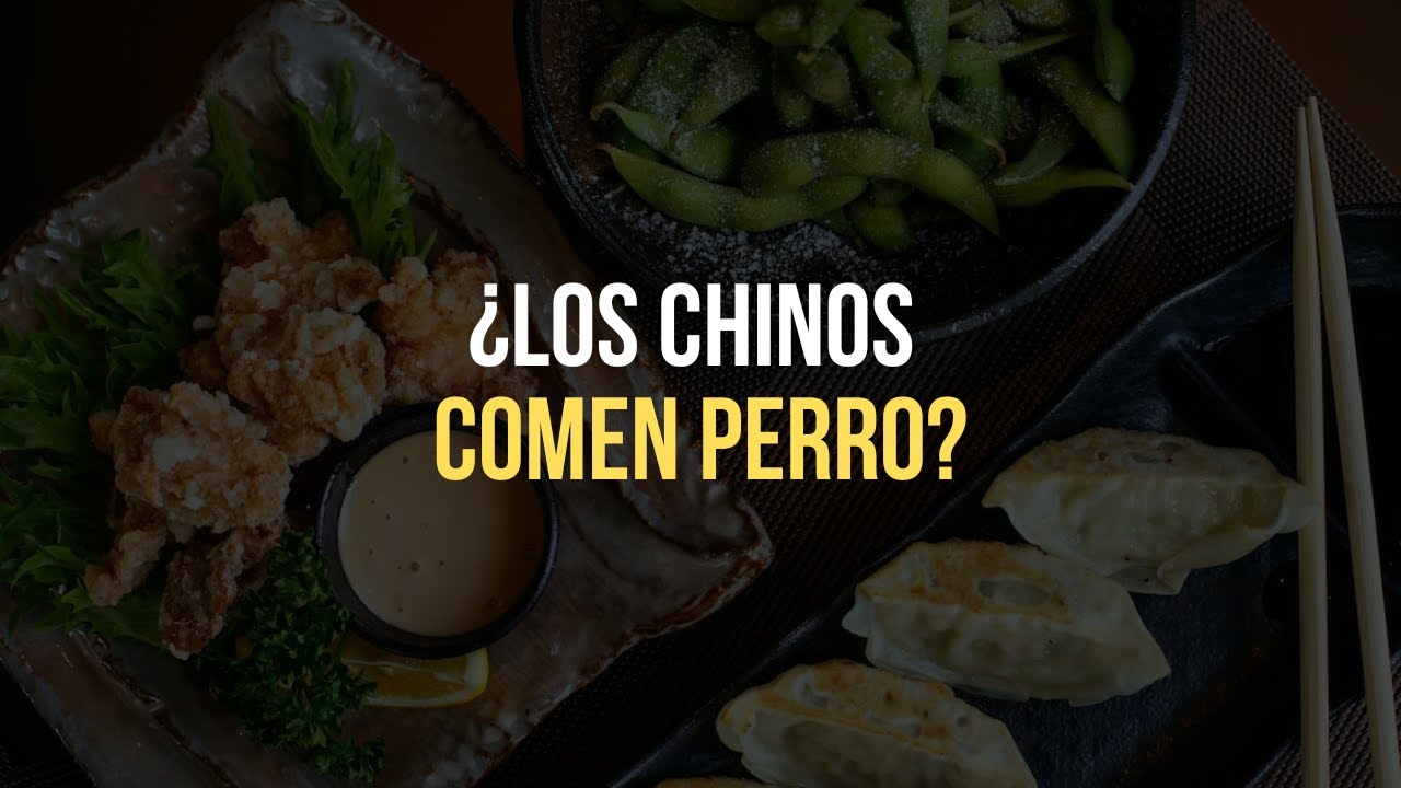 🍜 ¿Los #chinos comen perro? #culturachina #curiosidades - YouTube