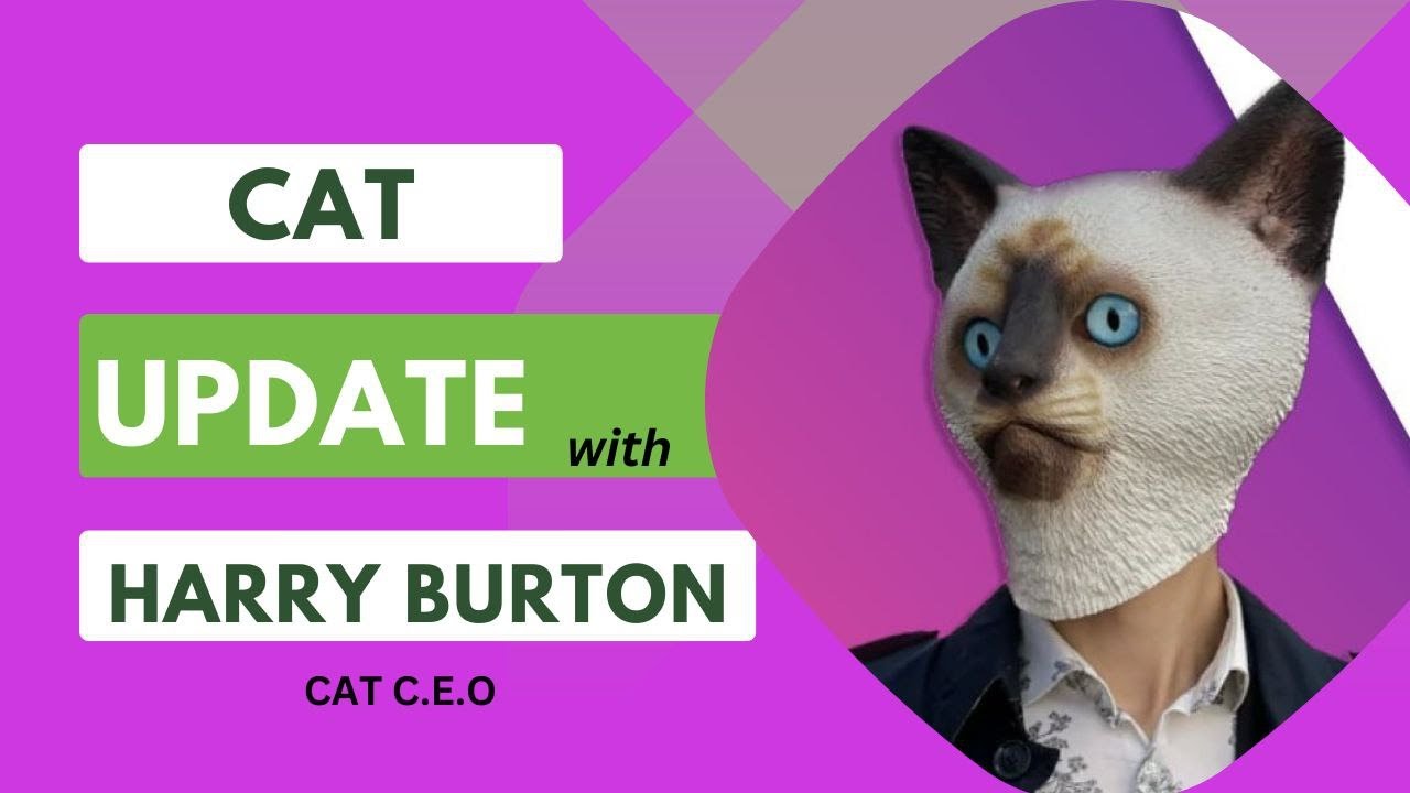 MUST WATCH FEB 2ND UPDATE WITH C A T ARBITRAGE TEAM C E O YouTube
