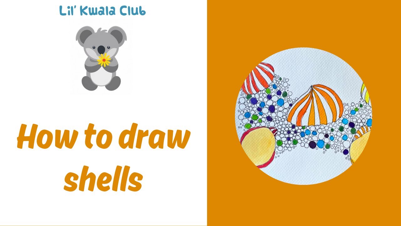 Shells- Drawing for kids - YouTube