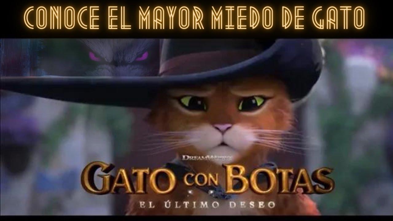 El Gato Con Botas 2: El último deseo | Resumen En 10 Minutos - YouTube