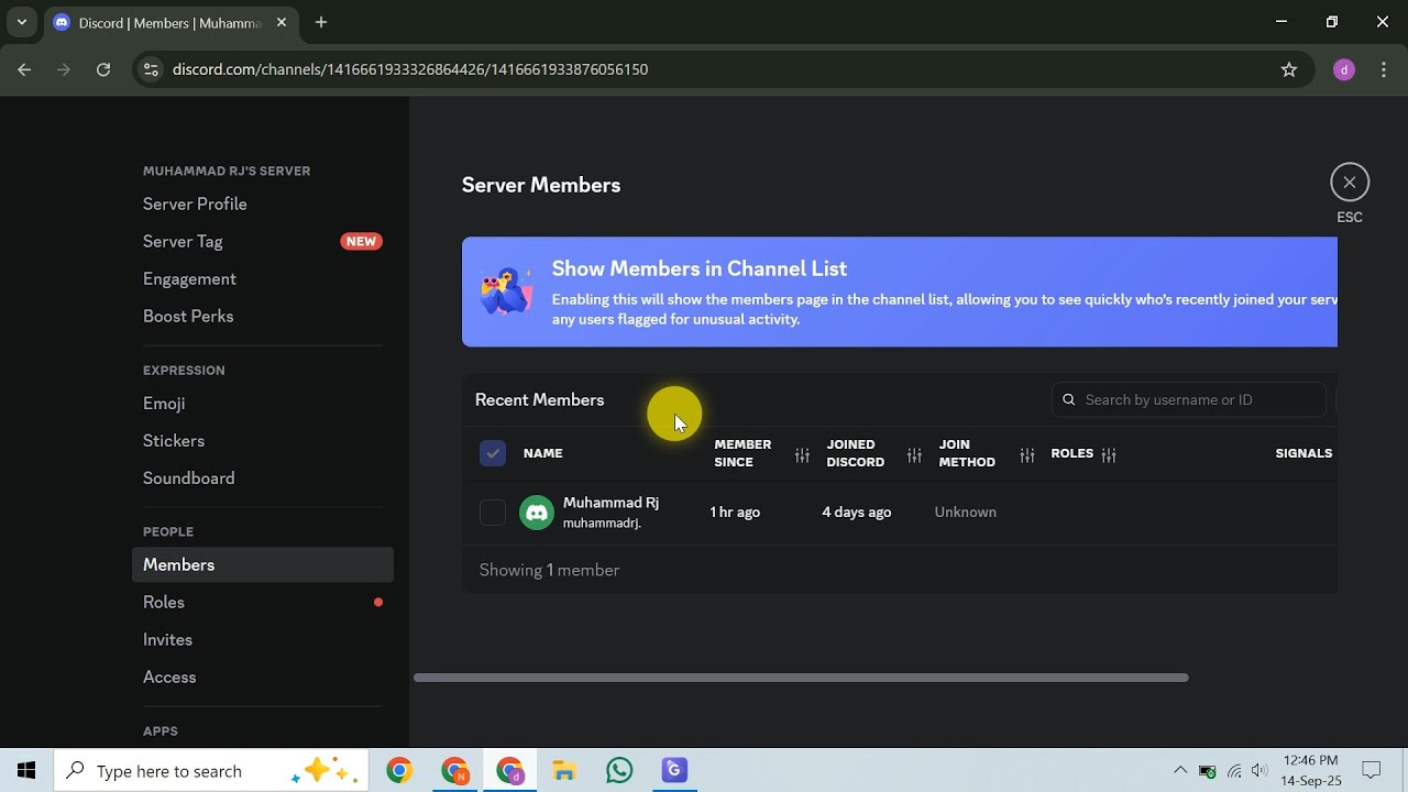 How To Become The Owner Of Any Discord Server - YouTube