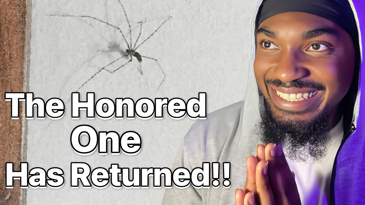 Our Glorious King Has Returned!! 🤩🔥 | Heylog - rat FULL REACTION! - YouTube