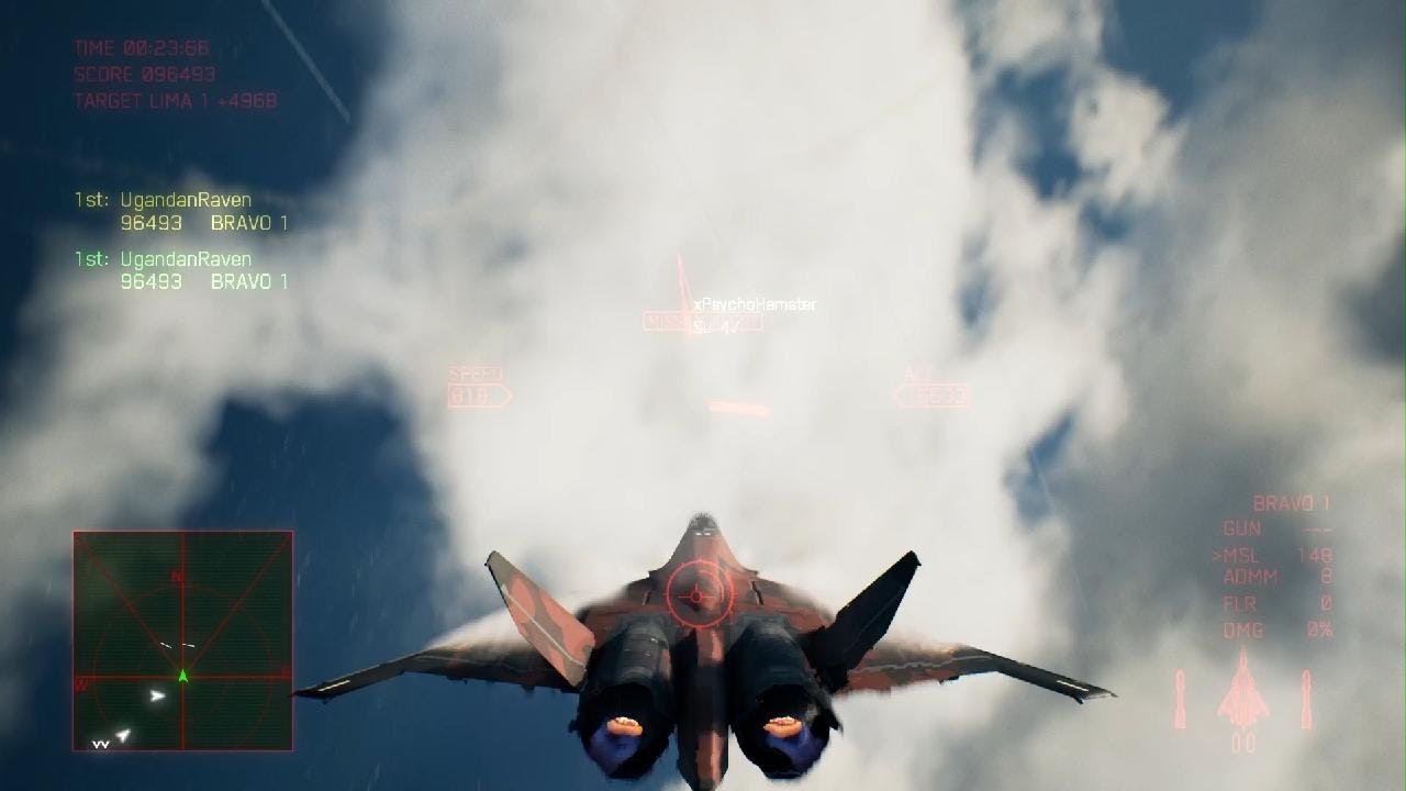 The Final Words of a Raven ft. A Psycho Hamster | Ace Combat 7 - YouTube