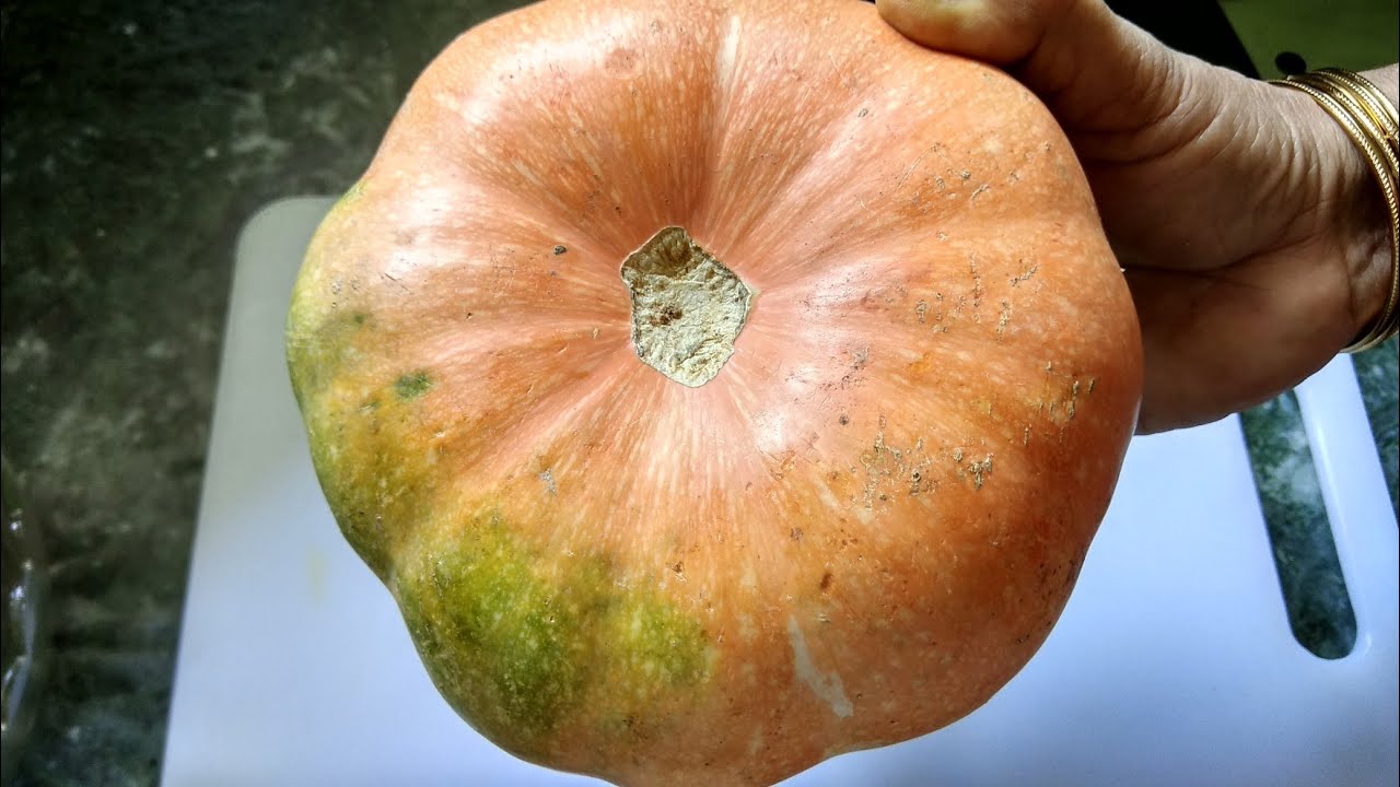 Pumpkin pakora Recipe / चक्री पकोडा रेसिपी / Pumpkin Pakoda Recipe ...