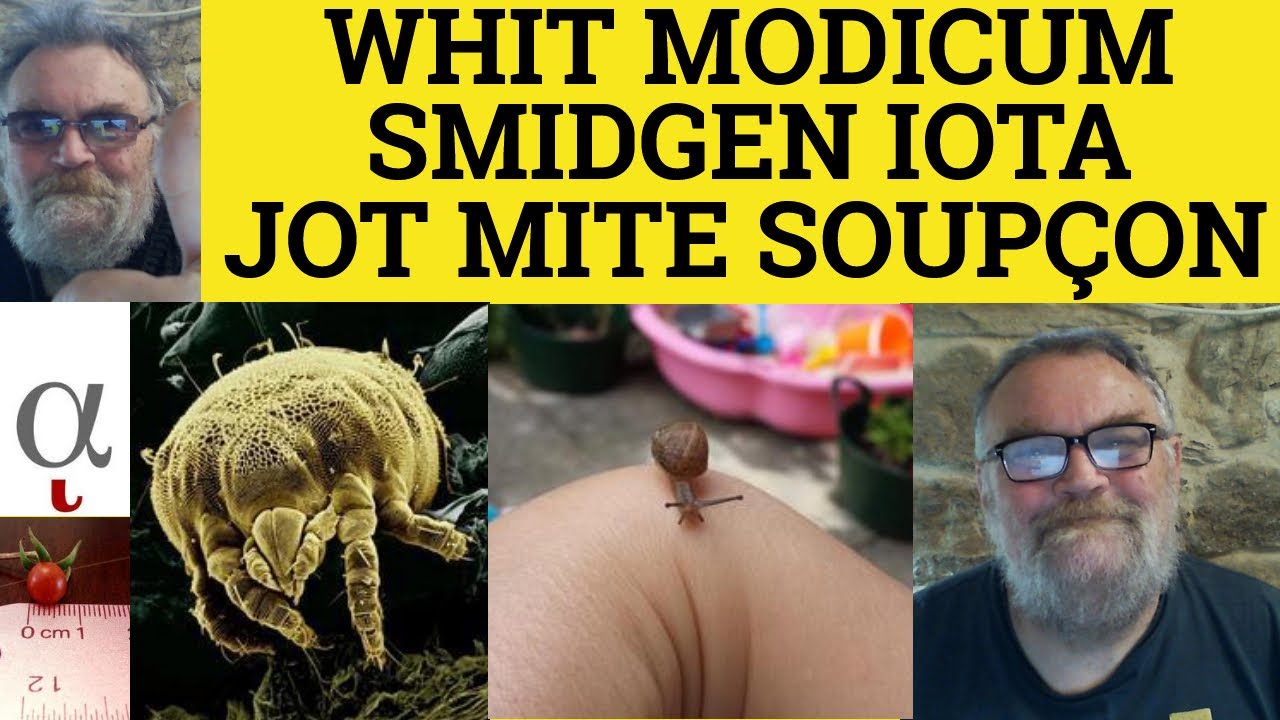 Smidgen Meaning Iota Defined Whit Explained Modicum Examples Jot smidgen-meaning-iota-defined-whit-explained-modicum-examples-jot