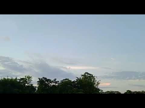 blue sky and green trees 🌲whatsapp status 2021🌲