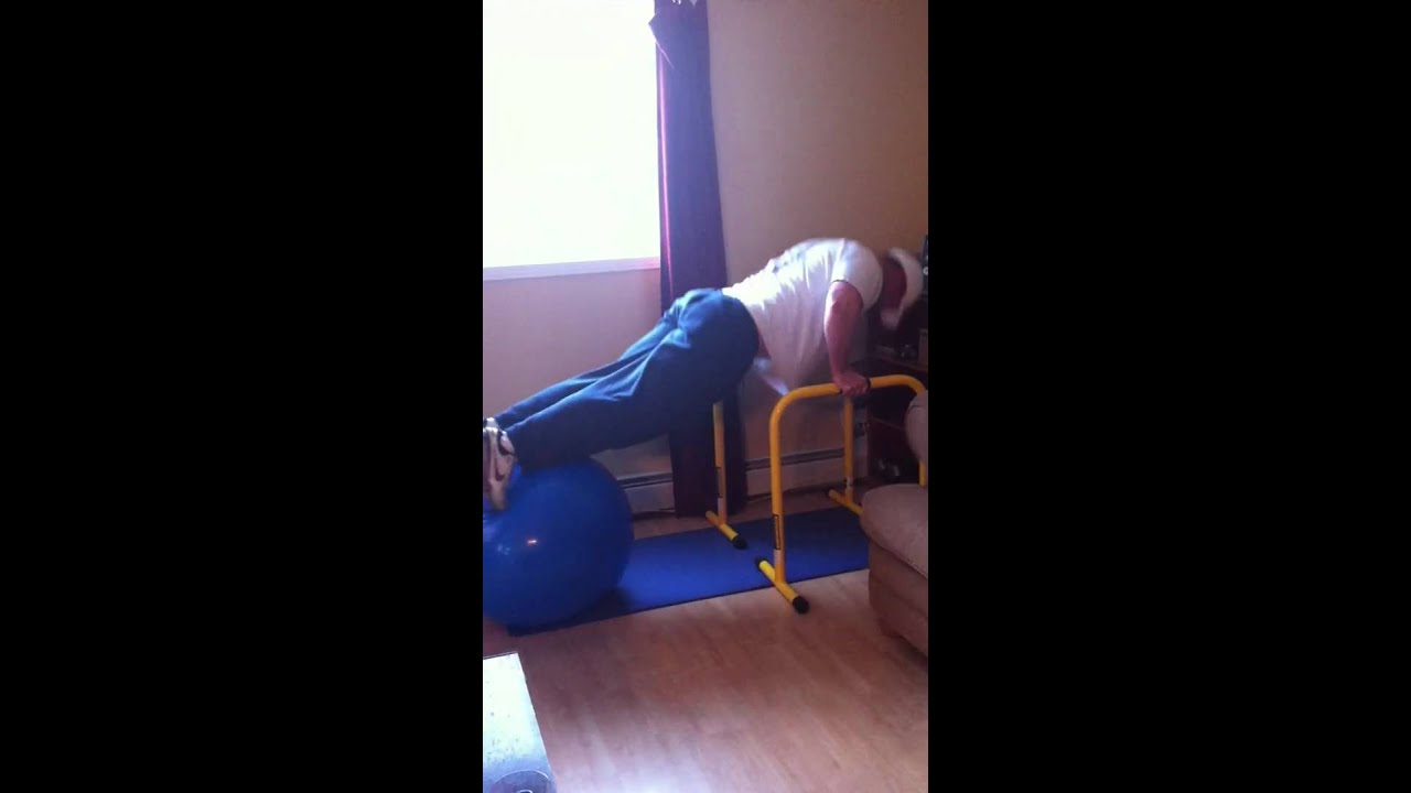 Lebert Equalizer pushups on ball - YouTube