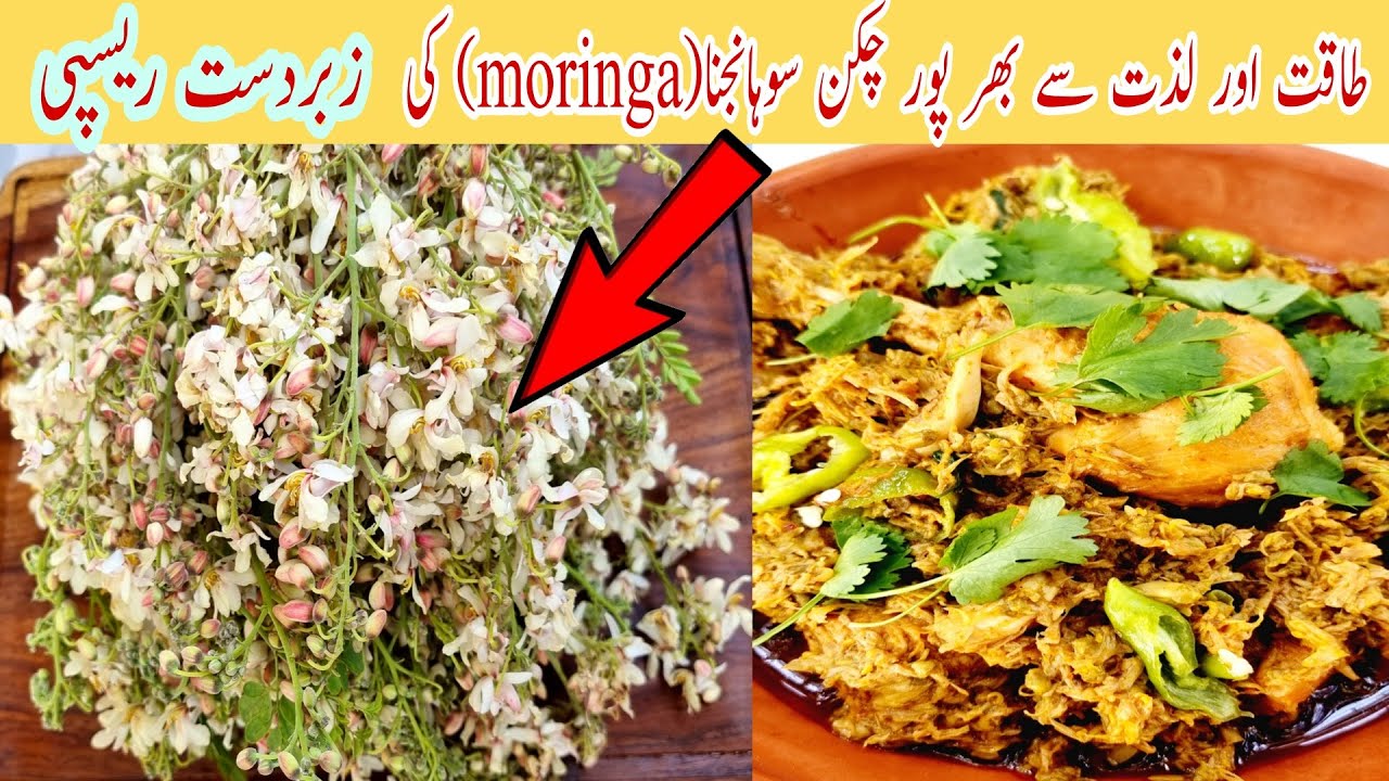 Chicken Sohanjna Recipe | Moringa Flower Recipe By Desi Handi Spices ...