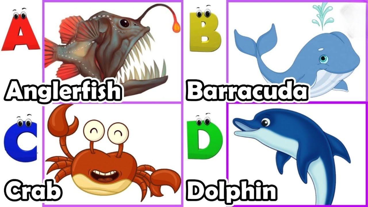 ABC phonics animals | ABC Sea Animals song | English and Animals for ...