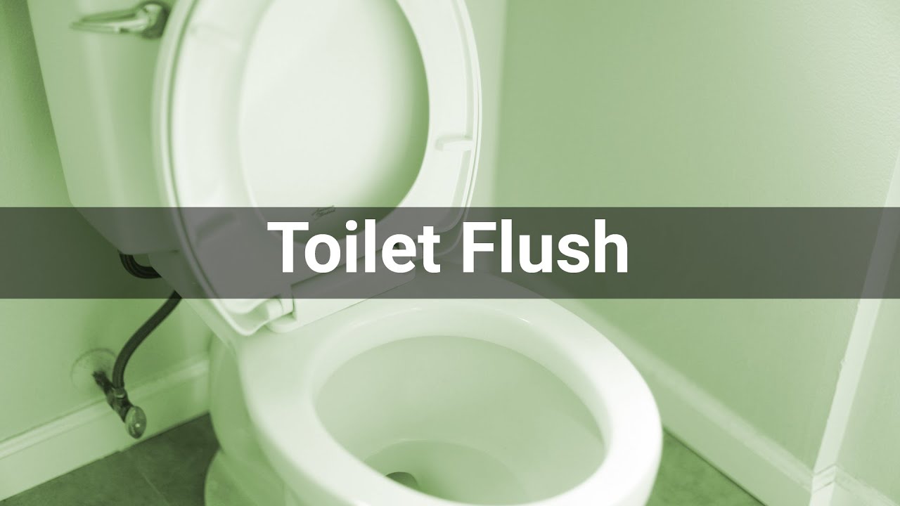 Toilet Flush • Household • Sounds Effects (No Copyright Sounds) - YouTube