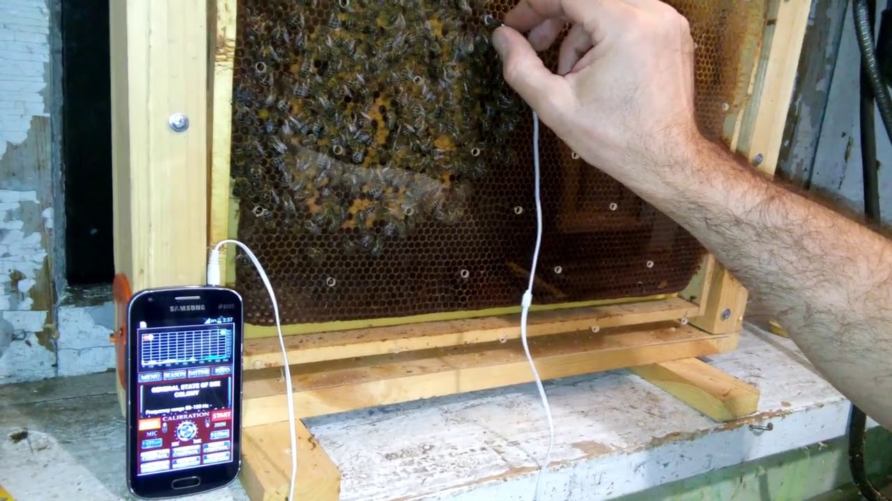 Film 74 fr The bee heating or venting the brood - YouTube