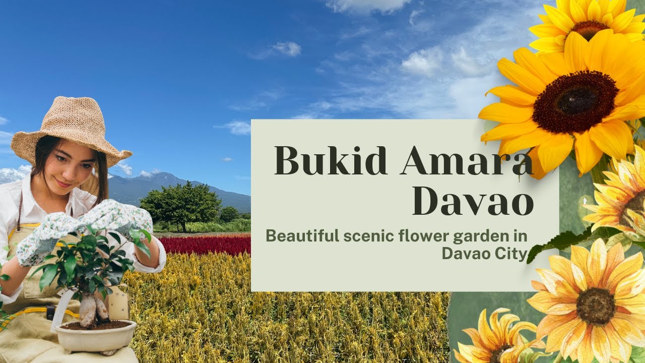 🌻 Bukid Amara Davao 🌻 The Newest Attraction in Davao 😱 - YouTube