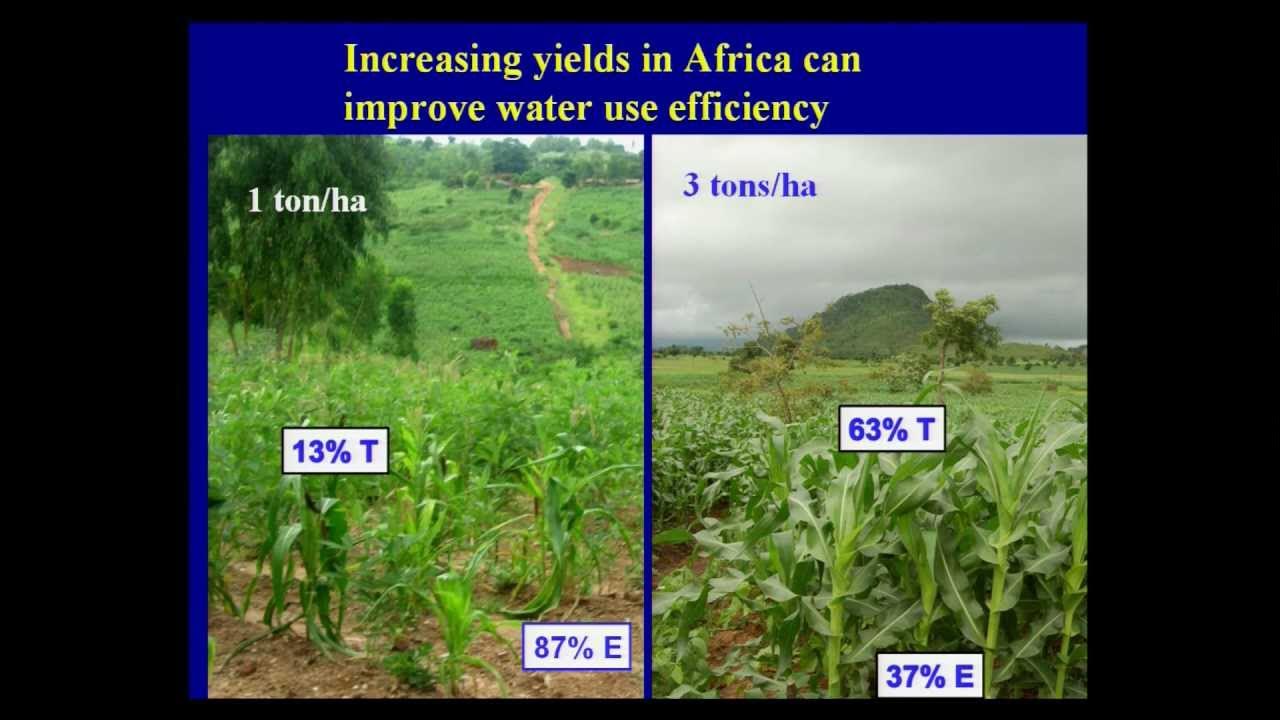 The Hans Jenny Lecture - Dr. Pedro Sanchez - YouTube