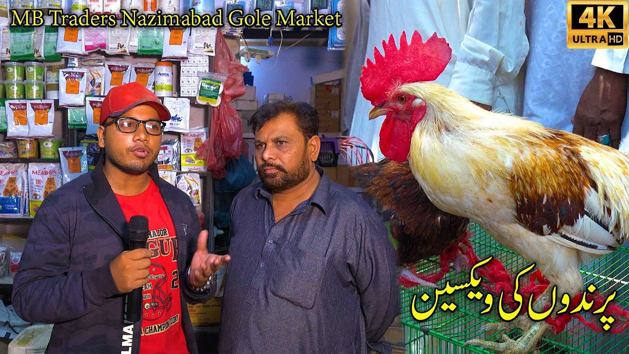 Eggs Incubator Bird and animal Vaccines Medicines and food for all birds and animals at MB ...