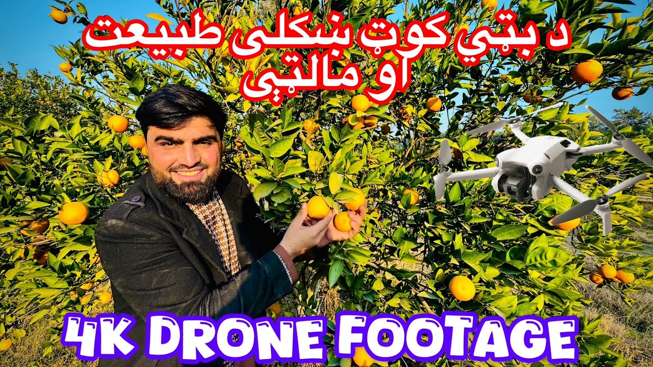 Batikot: A Hidden Paradise of Orange Orchards & Nature 4K” د بټي کوټ د ...