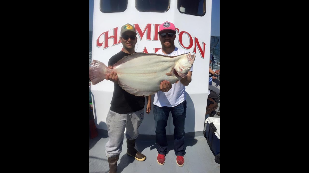 15.30 lb. Largest Fluke Flounder ever landed on Video. Hampton Lady ...