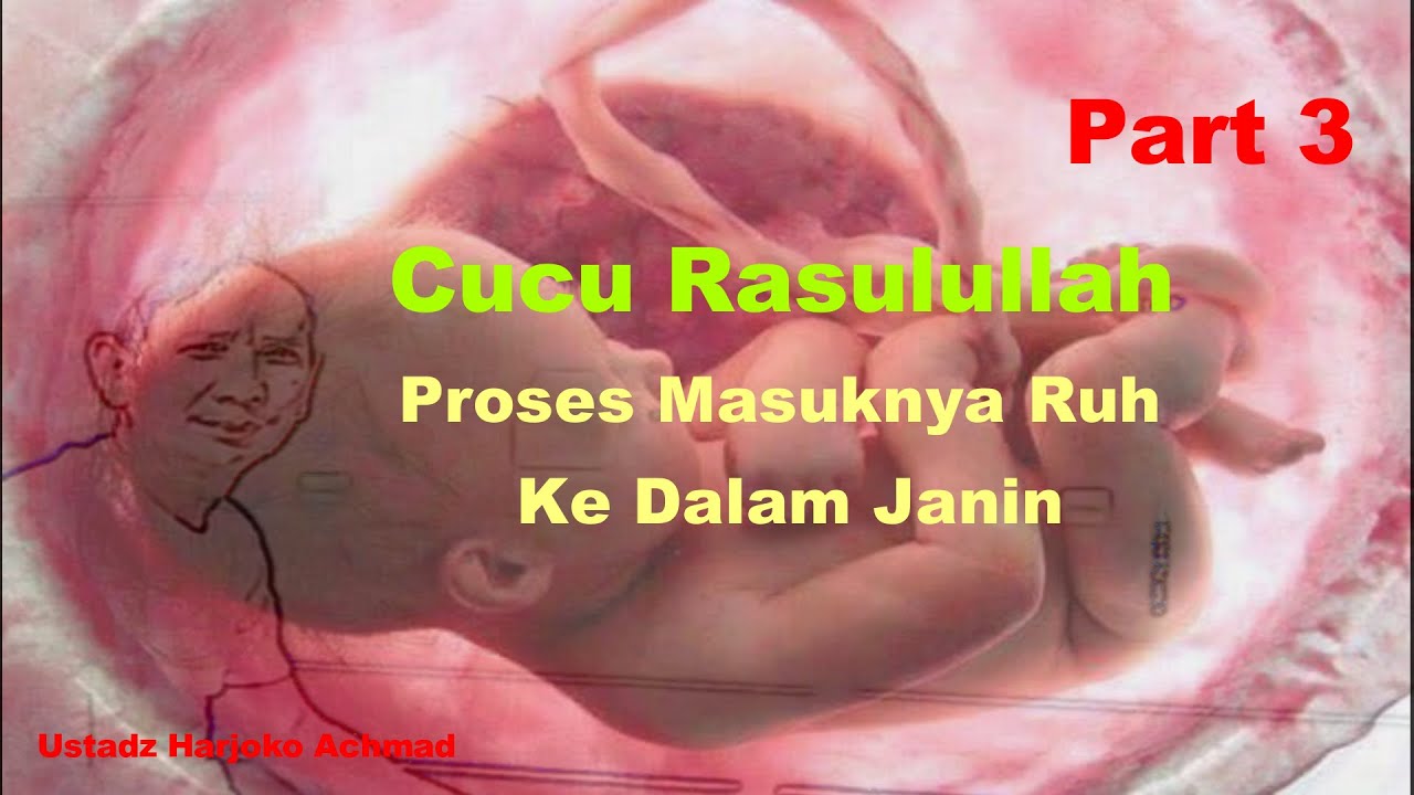 Cucu Rasulullah Proses Masuknya Ruh Ke Dalam Janin - YouTube
