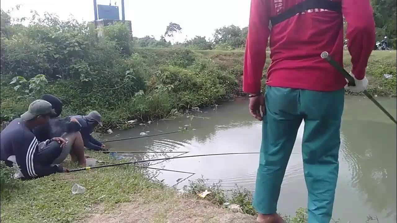 part 1,Amazing!!!mata pancing, mancing di lagoon bareng teman,#fishing - YouTube