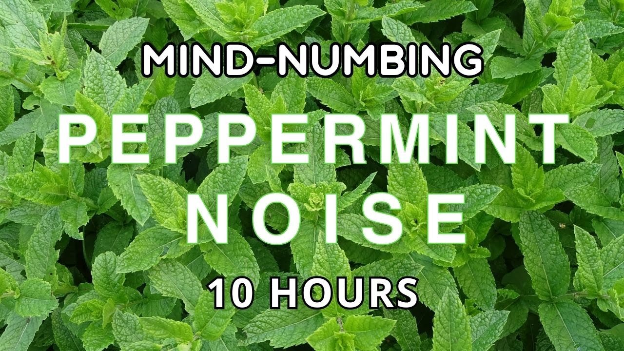 10 Hours BLACK SCREEN | Mind-numbing Peppermint Noise - Study, Sleep ...
