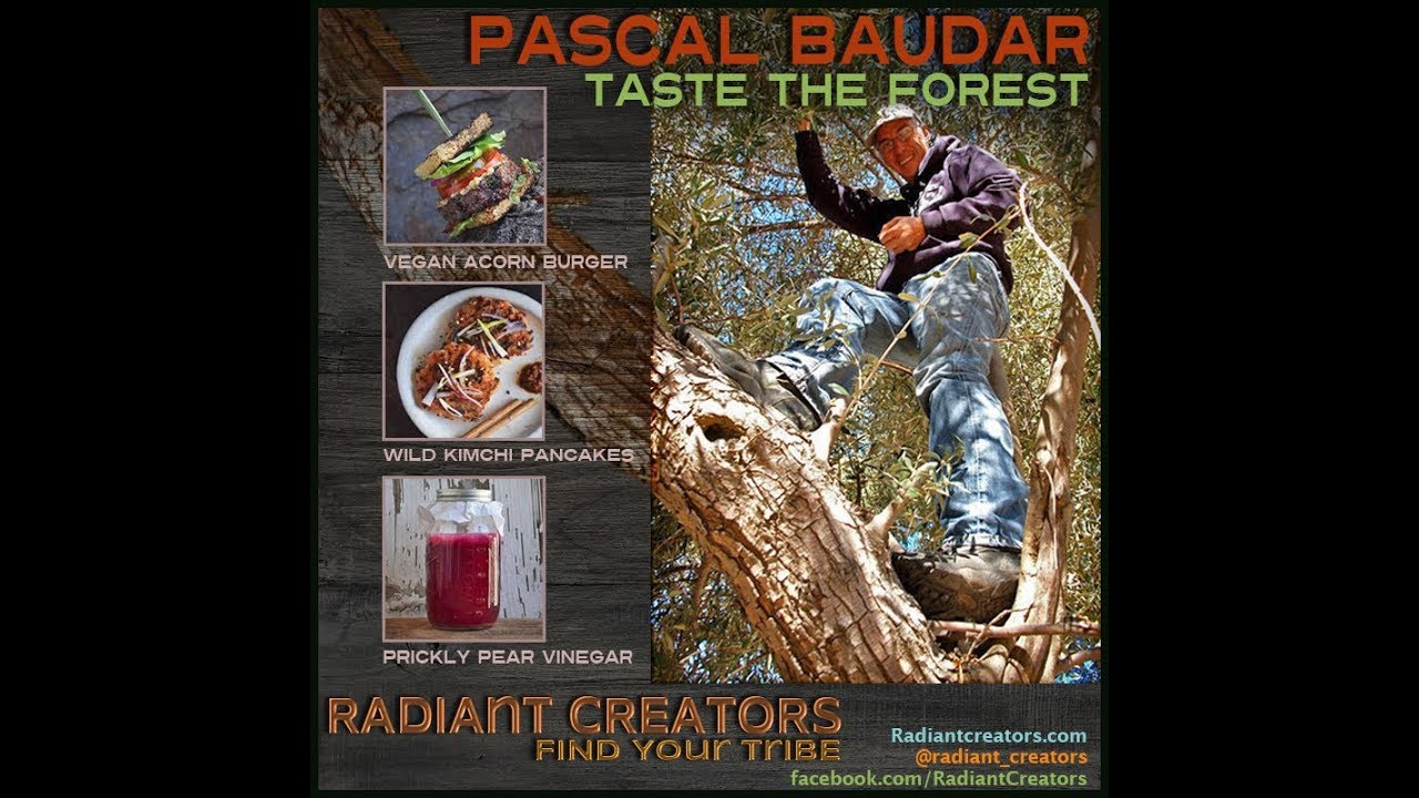 Interview With Pascal Baudar - Taste The Forest - YouTube