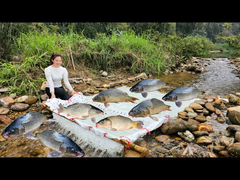 Full video 60 days Ana made unique fish traps. And caught a lot of big fish. | Ana fishing