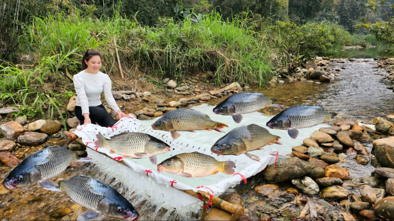 Full video 60 days Ana made unique fish traps. And caught a lot of big ...