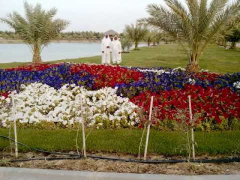 Kuwait Oasis - Burgan Oil Field - Contruction Stages - YouTube