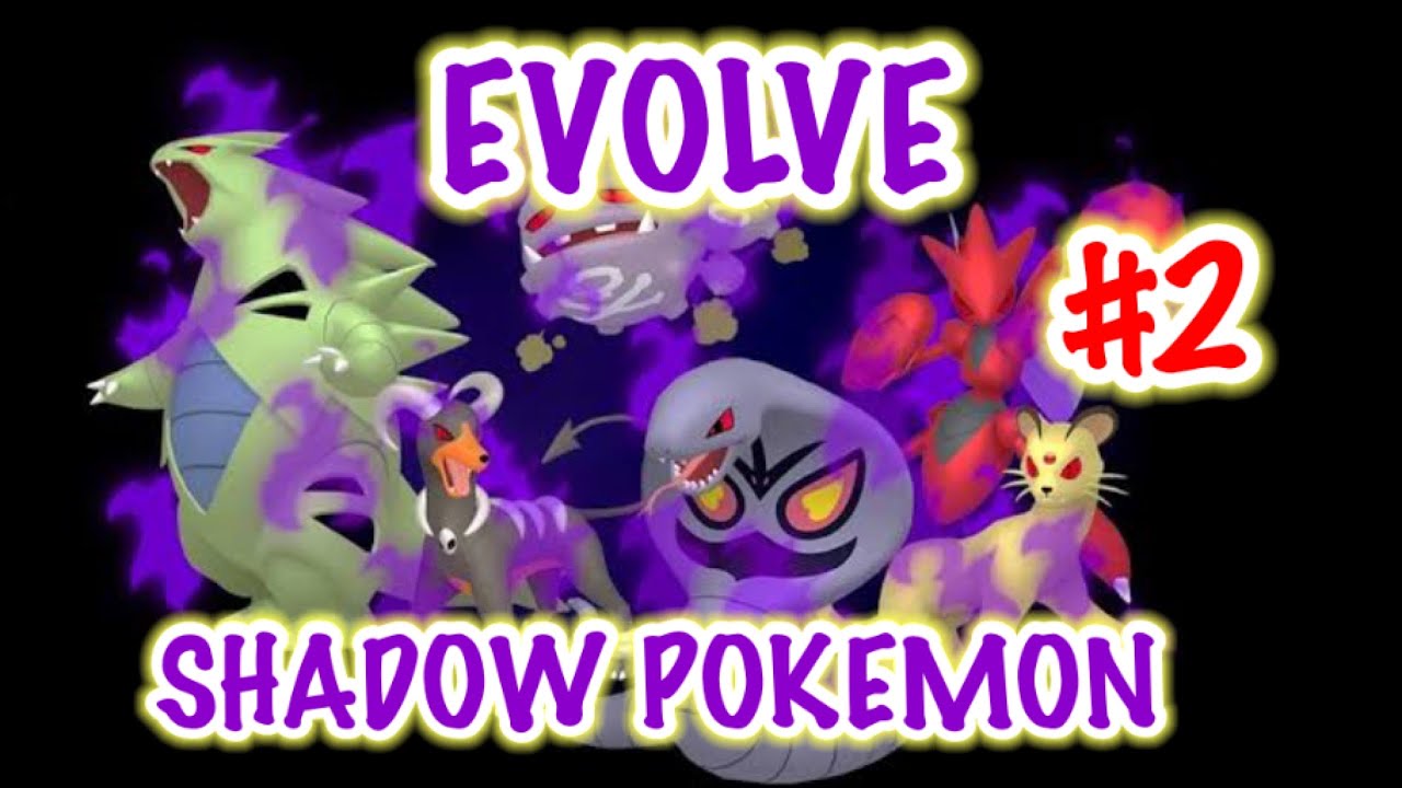Evolve Shadow Pokemon #2 | Pokemon Go #pgsharp - YouTube