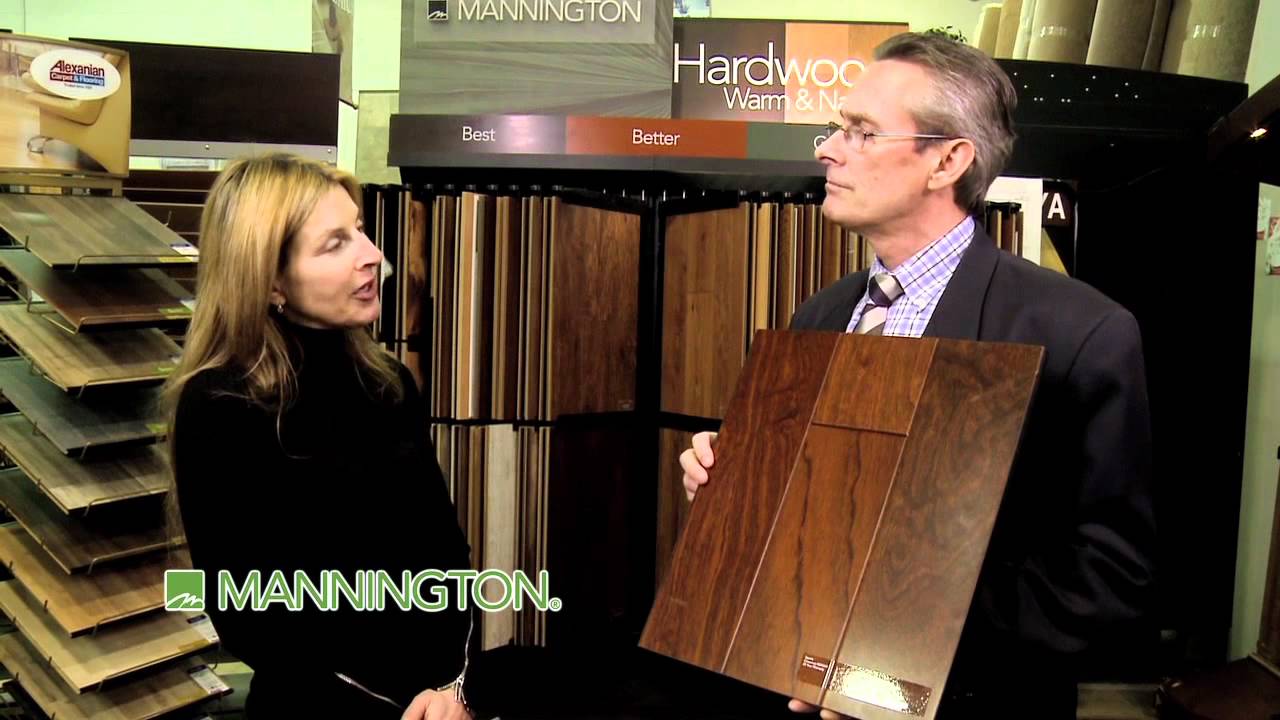 Live Design with Shelley Alexanian - Episode 4 - YouTube