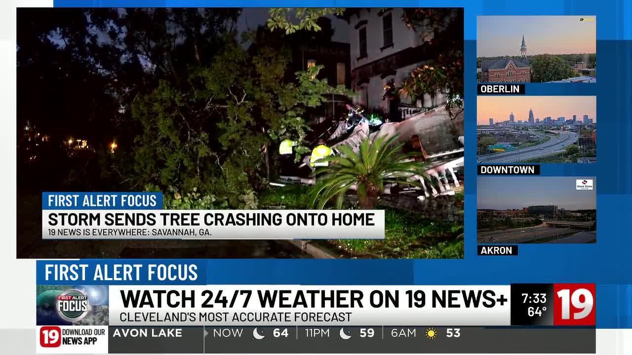 Wild Weather: Tree crashes into home - YouTube