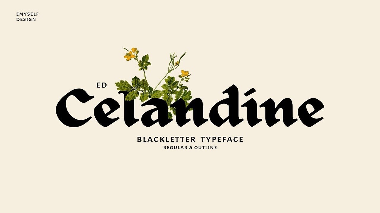 ED Celandine Typeface Font Free Download - YouTube
