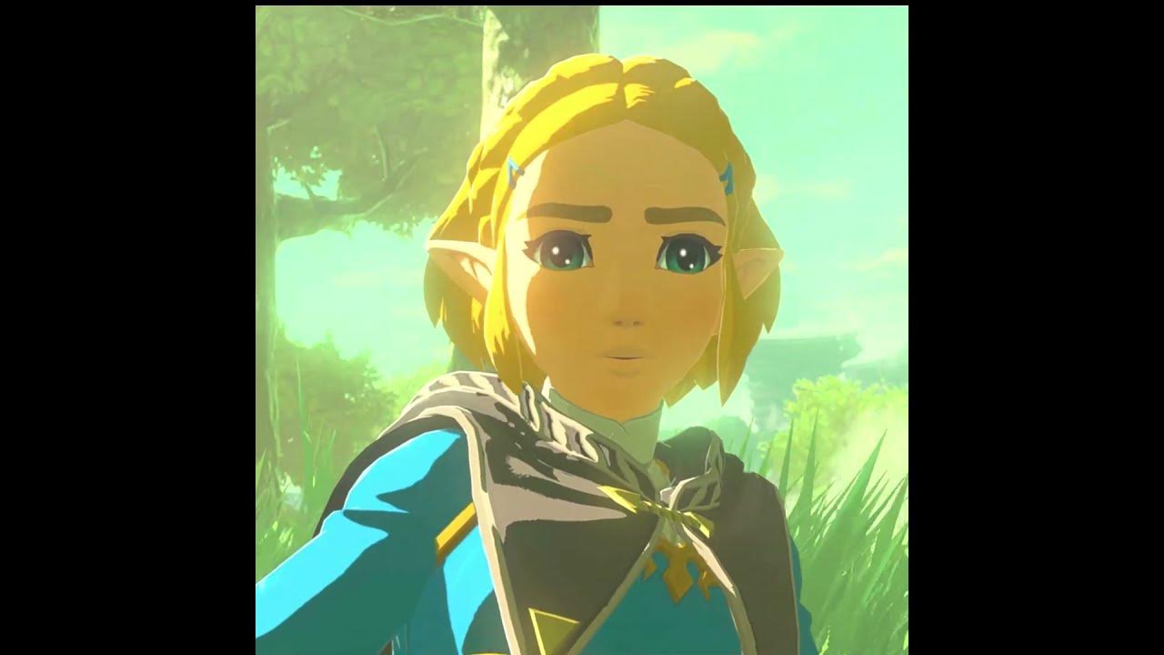 Zelda Meets King Rauru And Queen Sonia Shorts Zelda