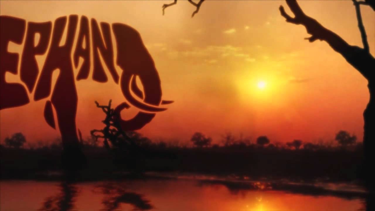 IFAW 'Say NO to ivory trade' TV spot - YouTube