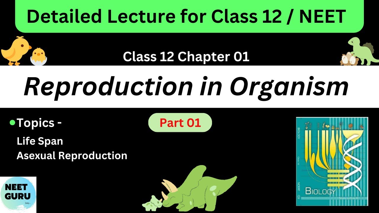 Chapter 1 Reproduction in Organism 01 Class 12 NEET - YouTube