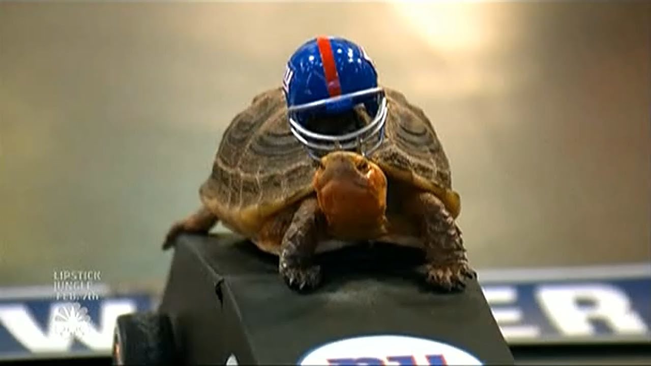 Late Night 'RC Car Turtle Race (Writer's Strike) 1/29/08 - YouTube