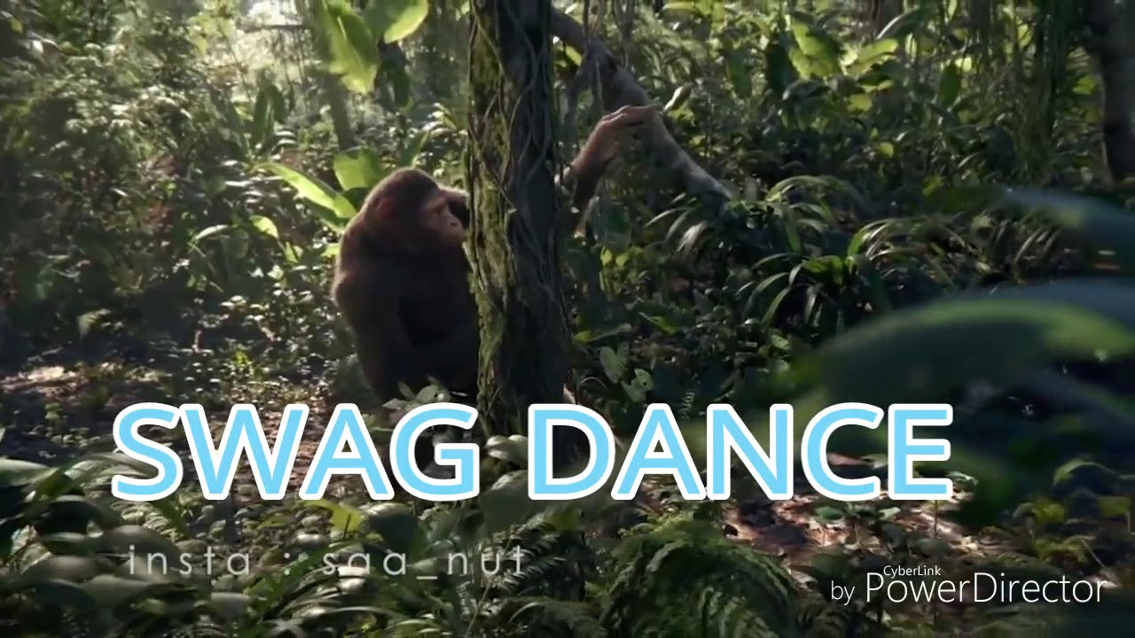 Swag se swagat: ft Chimpanzee dude🙈🙉🙊 - YouTube
