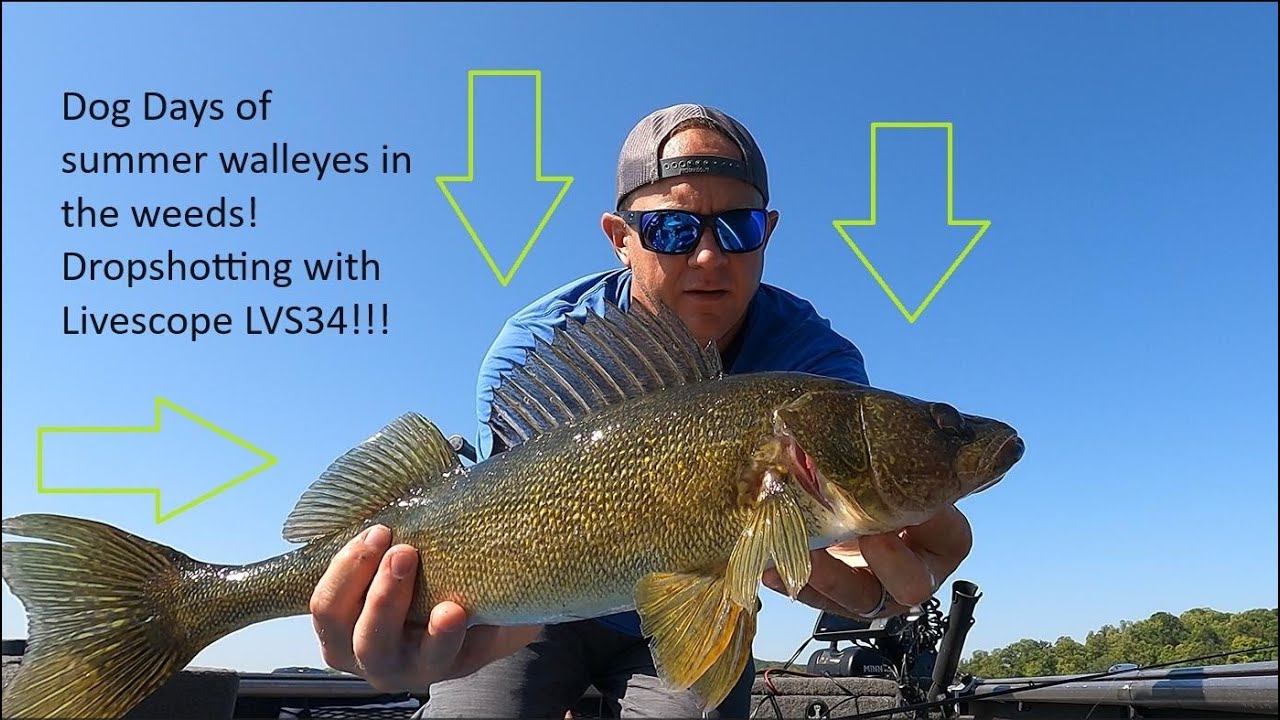 OtterTail county Walleyes in the Dog Days of Summer! - YouTube