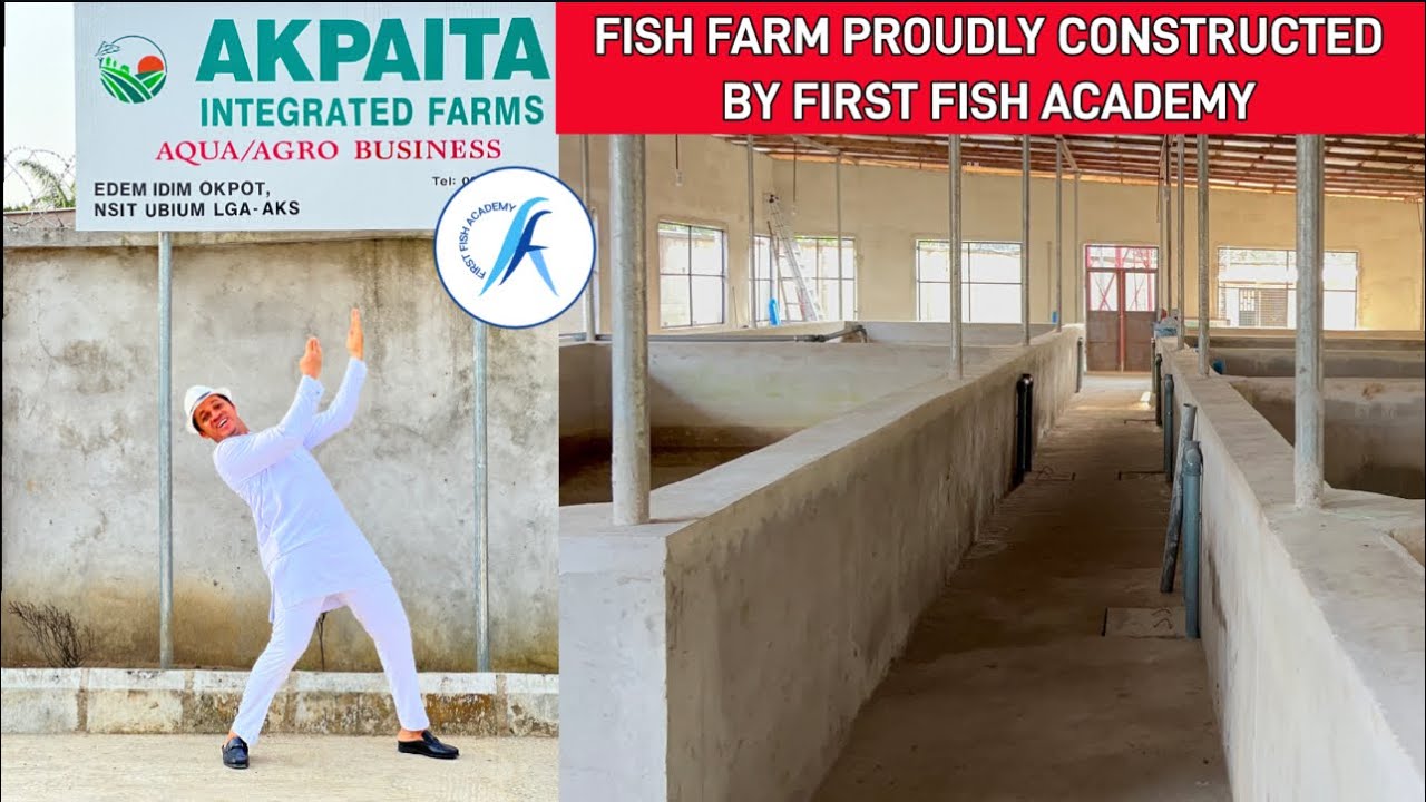 50k capacity Fish Farm with SOLAR WATER PUMP Constructed by FISH ...