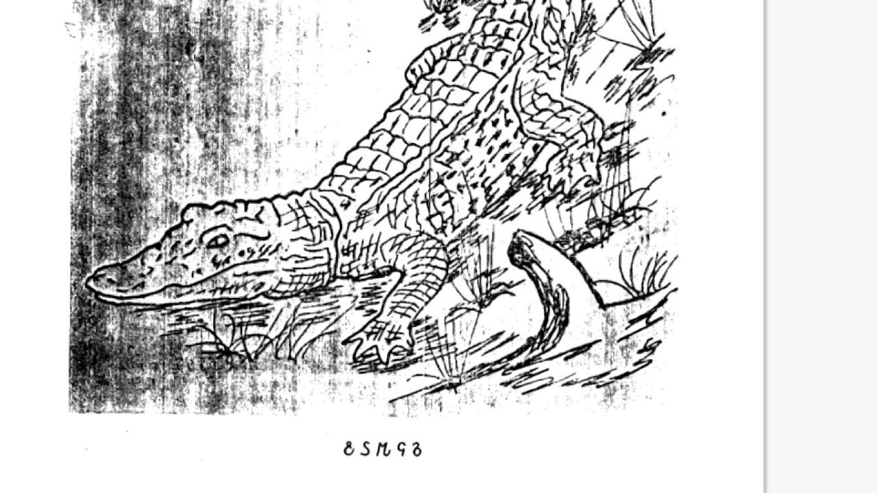 The Somali Osmanya Writing Script with transliterations of important ...