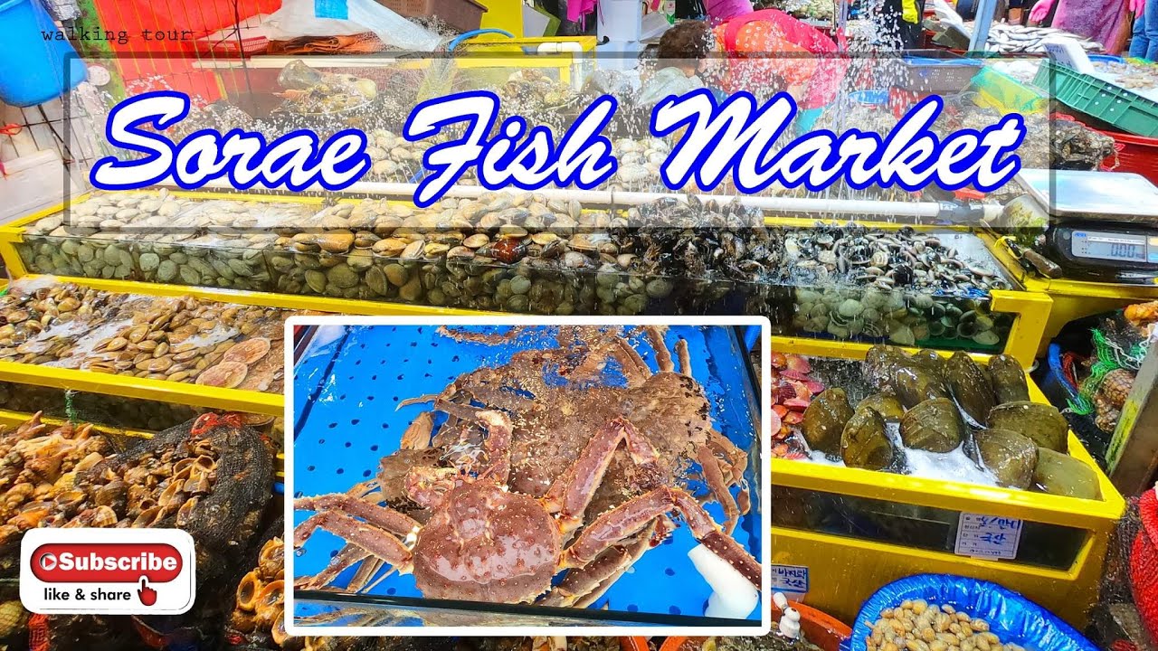 Sorae fish market walking tour II Incheon South Korea🇰🇷 September 25 ...