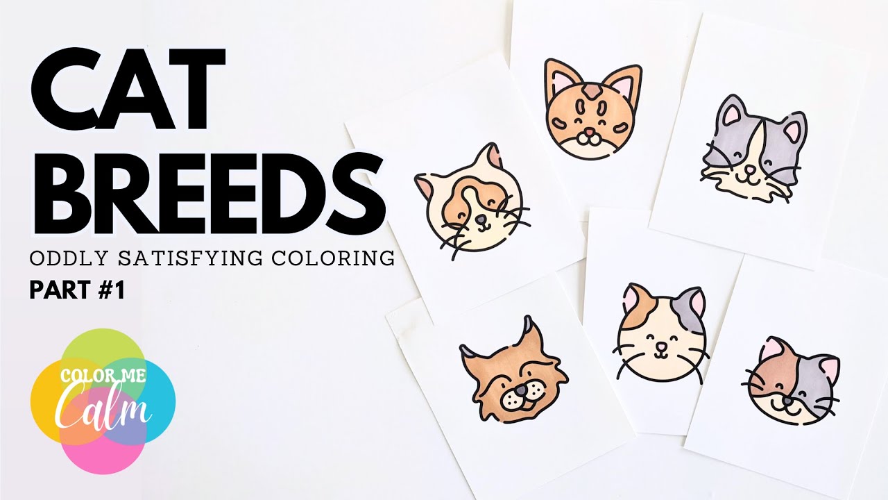 ODDLY Satisfying Coloring | Cat Breeds PART 1 | Calico, Ragamuffin ...