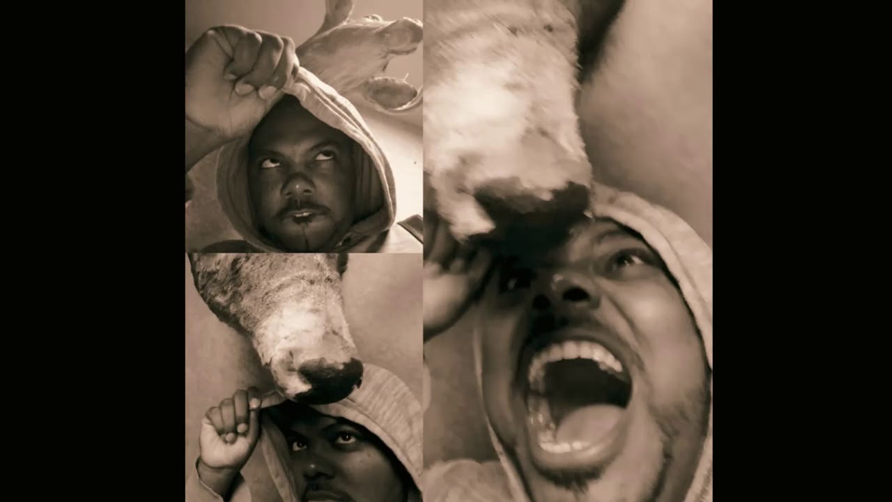 The Real Adonis -Willing and Able - YouTube