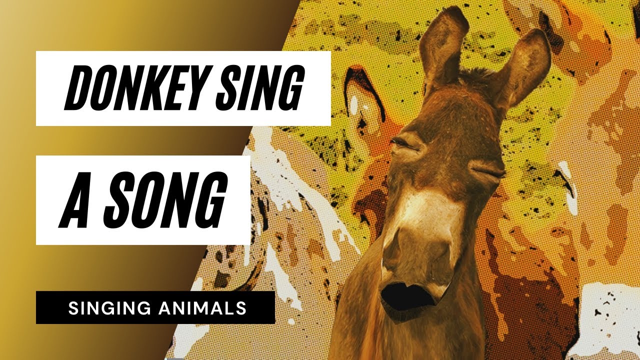 Donkey Sing a Song Without Music - singer donkey singing a song - YouTube