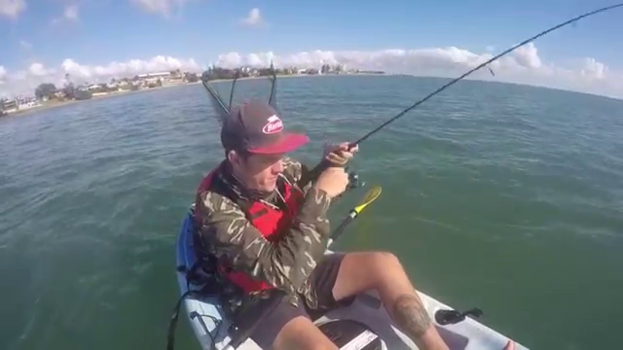 Fishing Redcliffe Horse Bream - YouTube