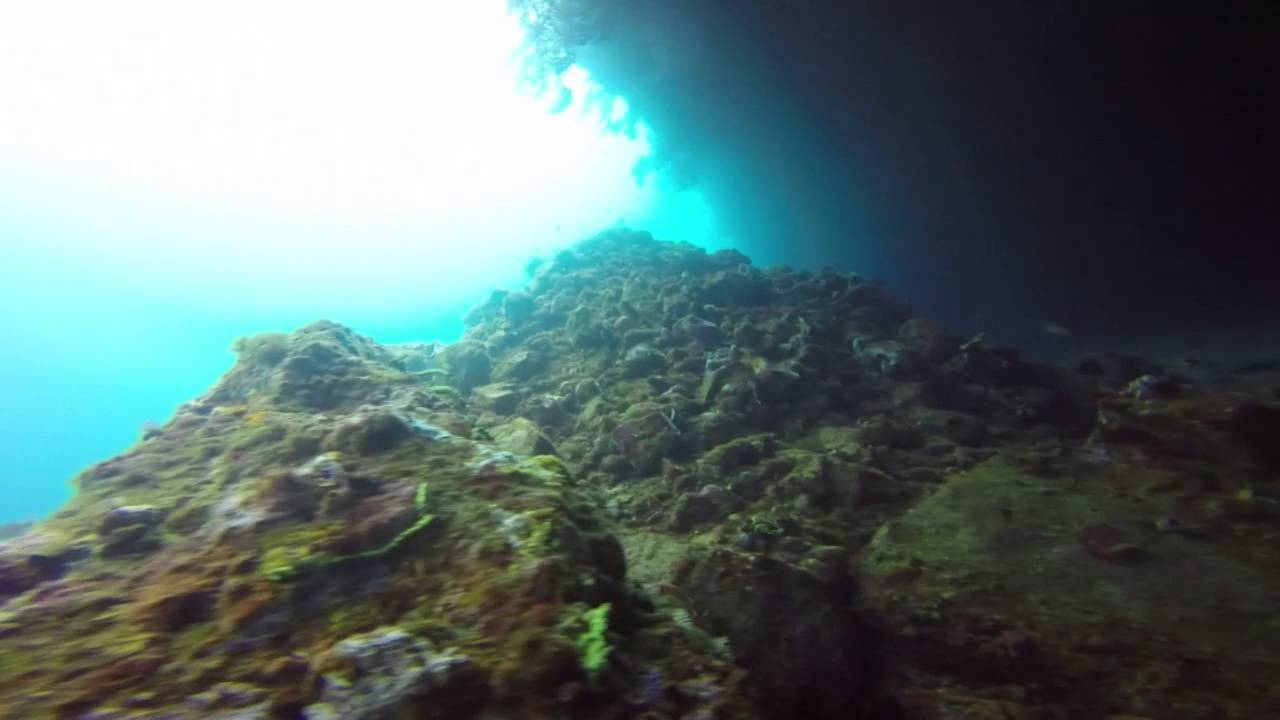 Diving in Bequia - YouTube