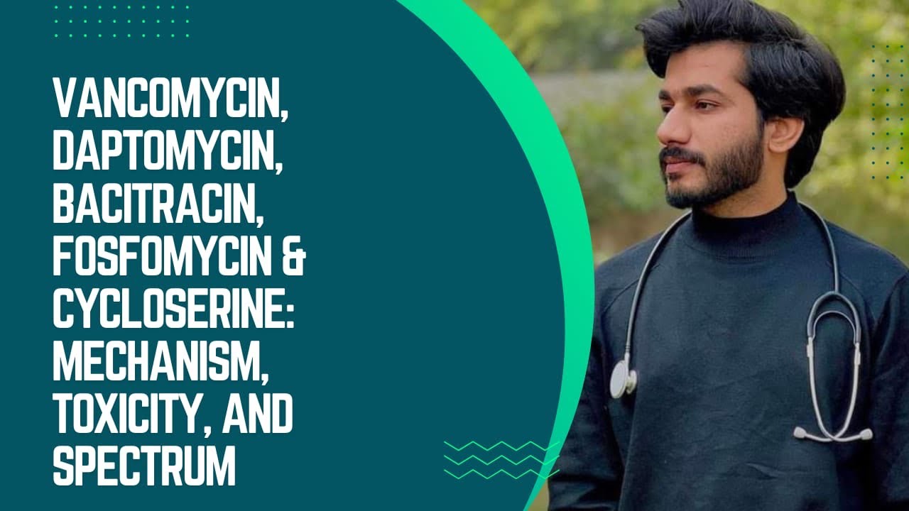 Vancomycin, Daptomycin, Bacitracin, Fosfomycin & Cycloserine: Mechanism ...