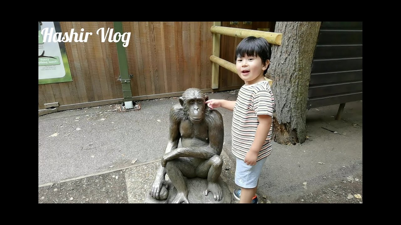 ZSL | Whipsnade Zoo | ZSL Whipsnade Zoo | worldwide animals | butterfly ...