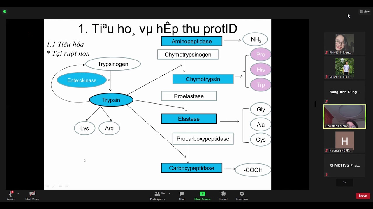 Chuyển hóa Protid - YouTube
