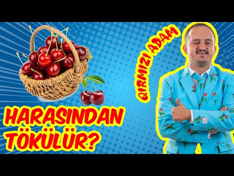 Qırmızı Adam - Gilas Səbətin harasından tökülür?